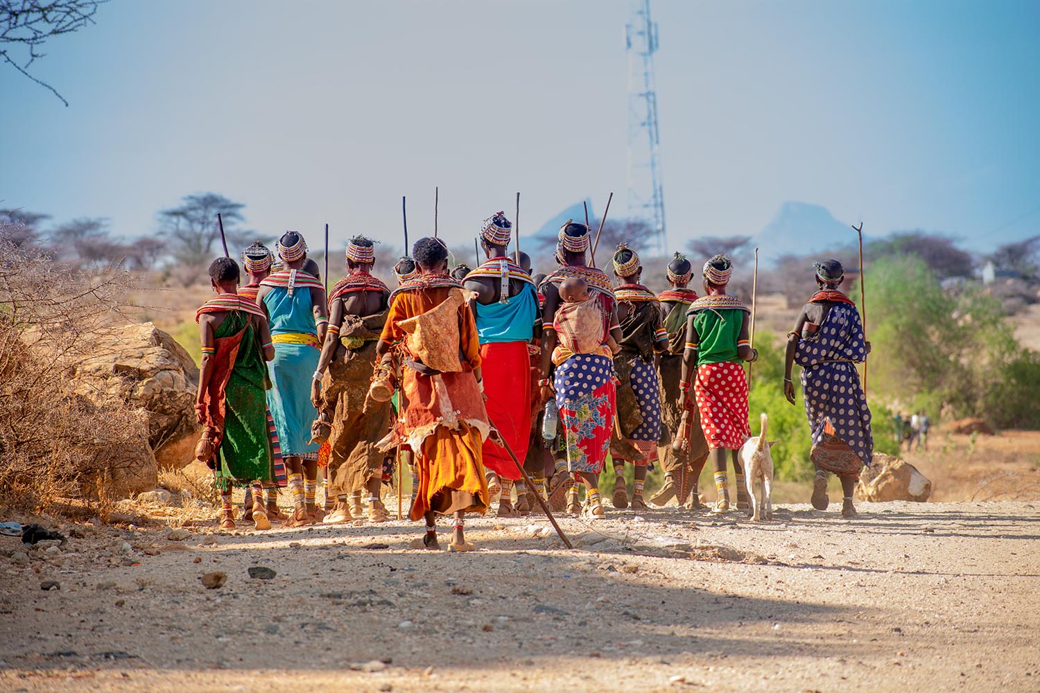 Gender Inequality in the Context of Climate Change - Indigenous Climate Hub